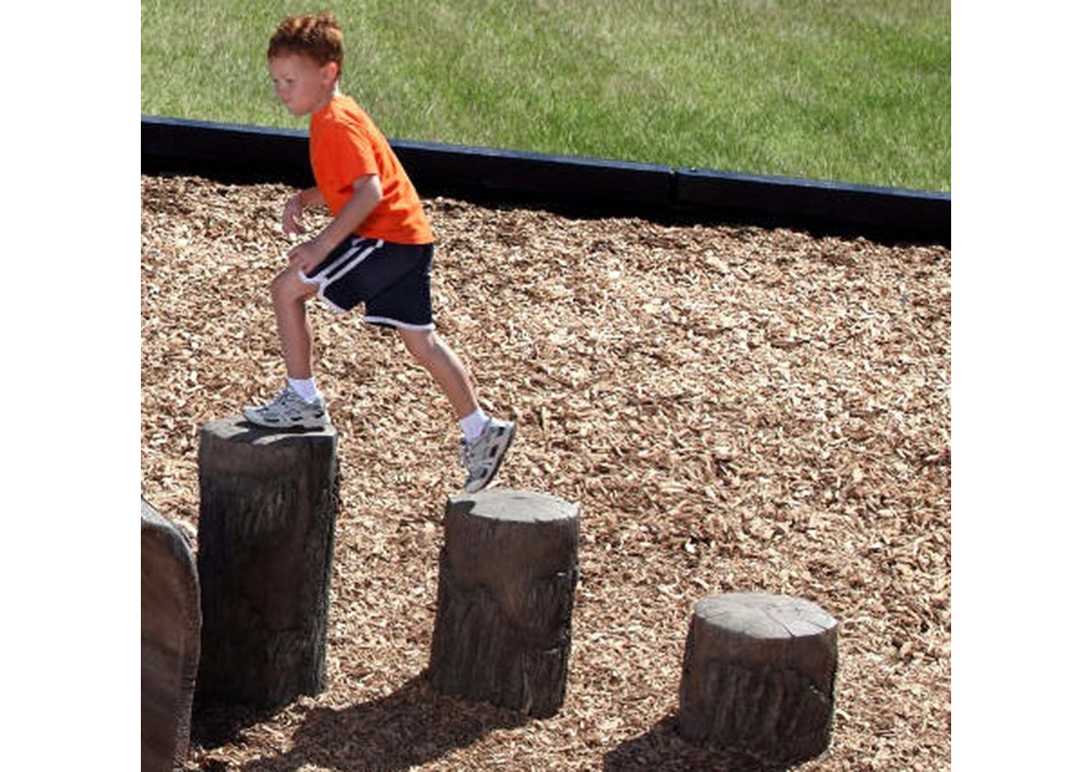 NatureROCKS School Age Tree Stumps | Elite Play Equipment